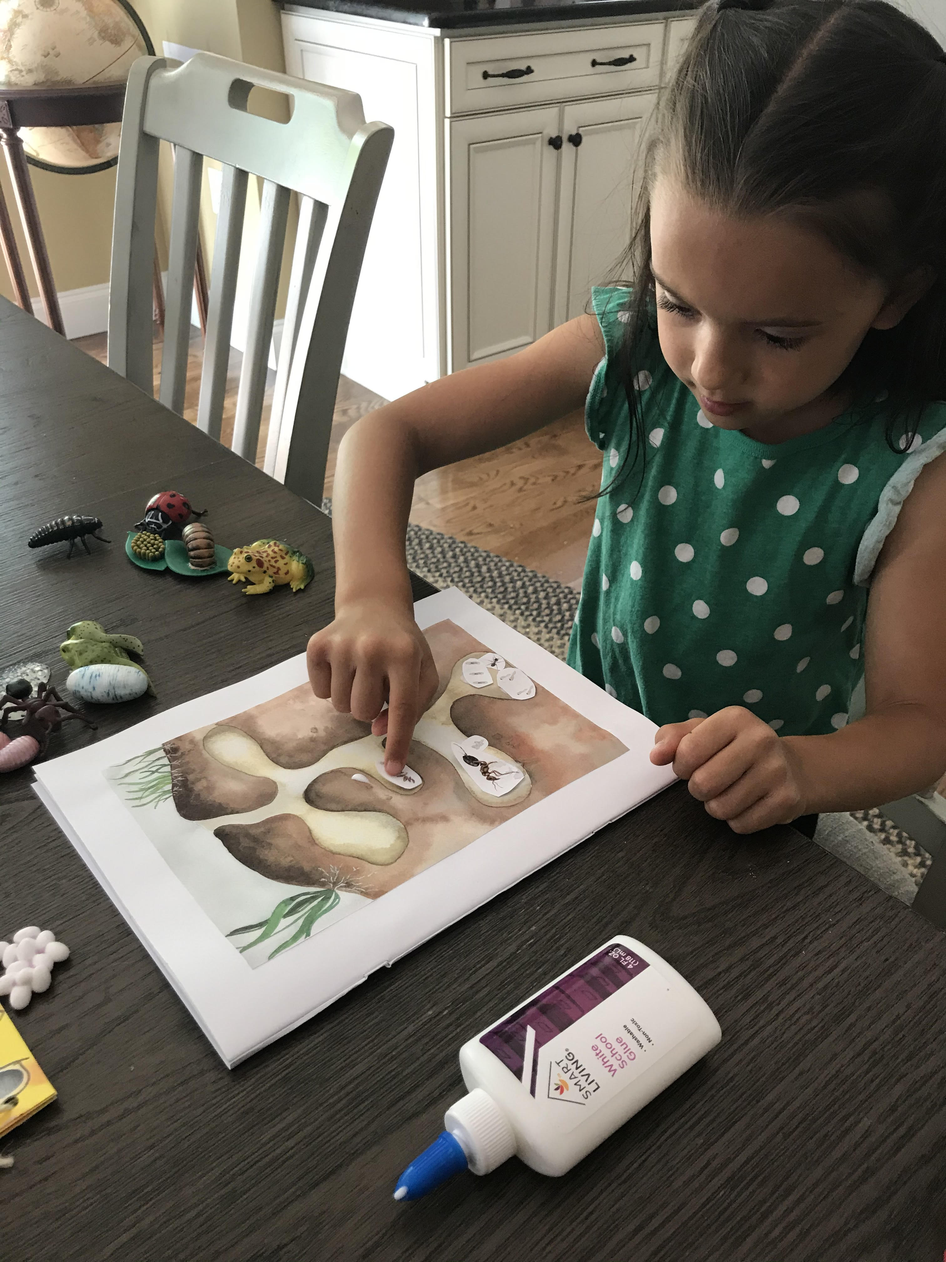 Consider the Ants – Little Library in the Big Woods