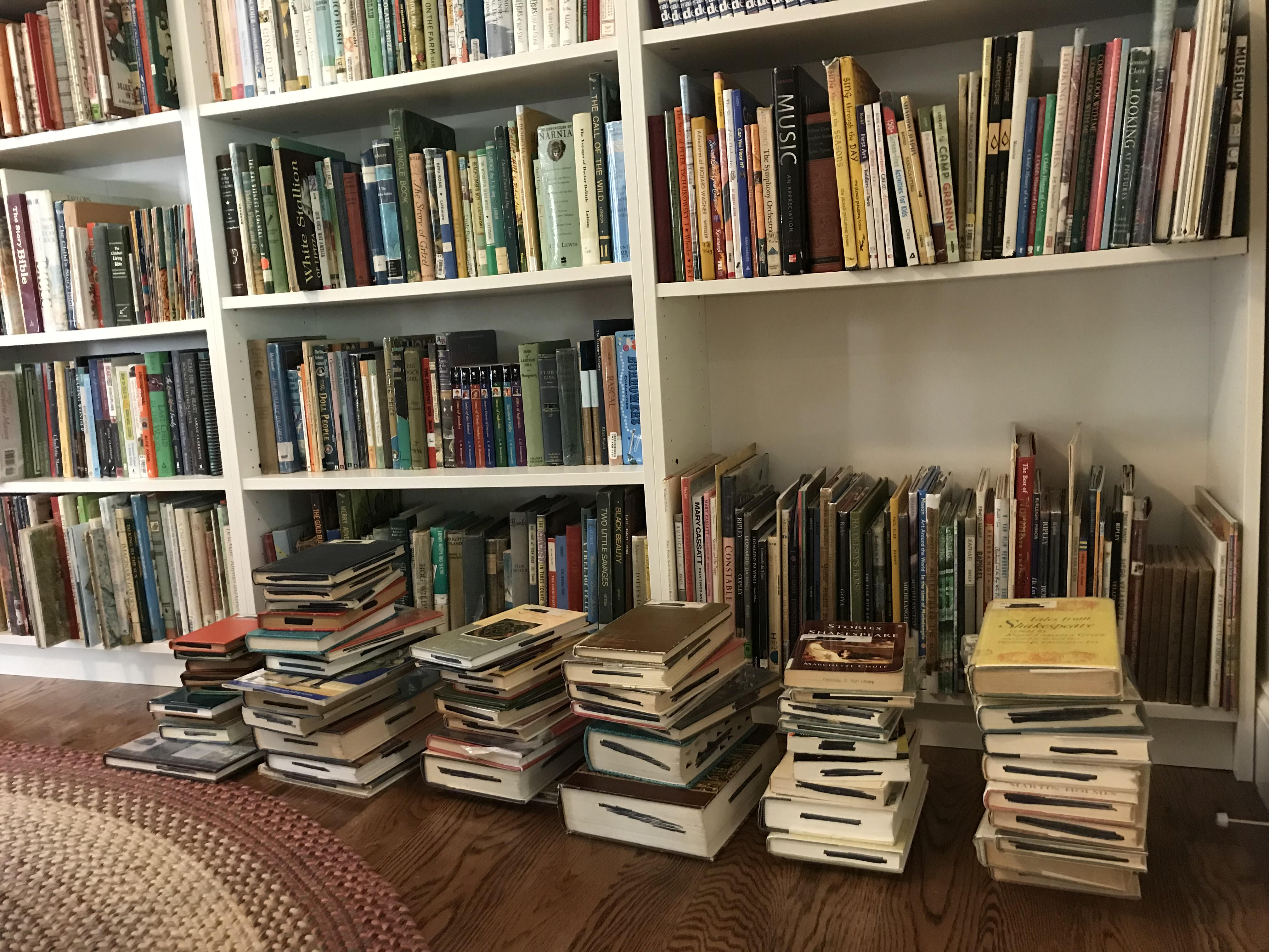 New At the Library: June 2021 – Little Library in the Big Woods