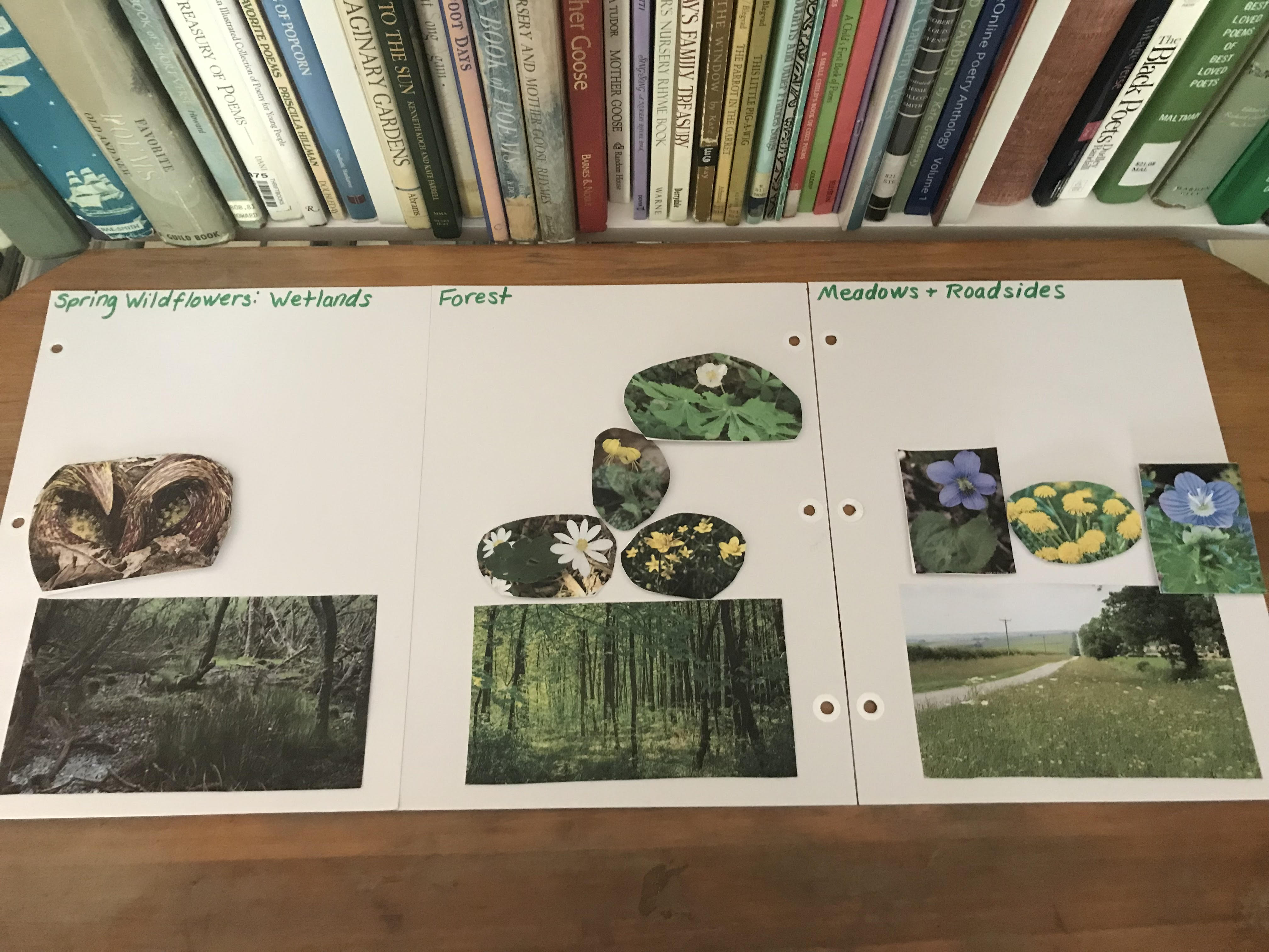 Homeschool Notebooking: A Peek At Our Pages – Little Library in the Big ...
